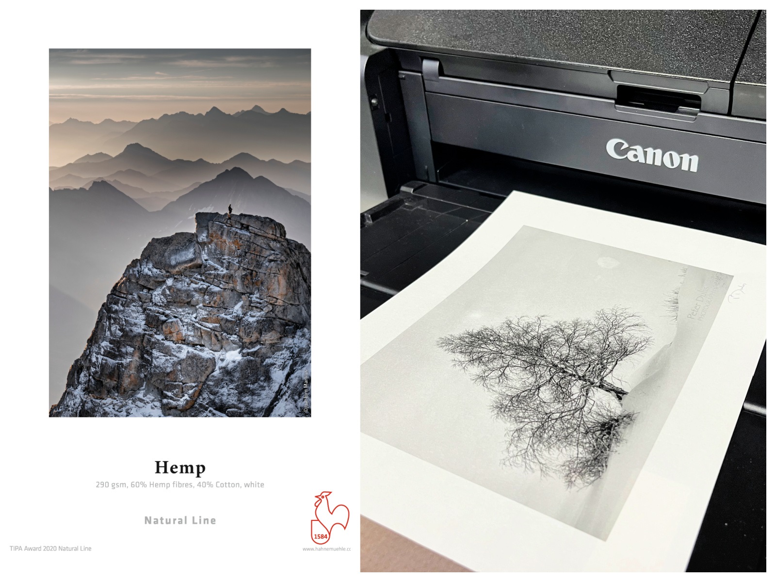 The Art of Simplicity in Photos – Photography Adventures